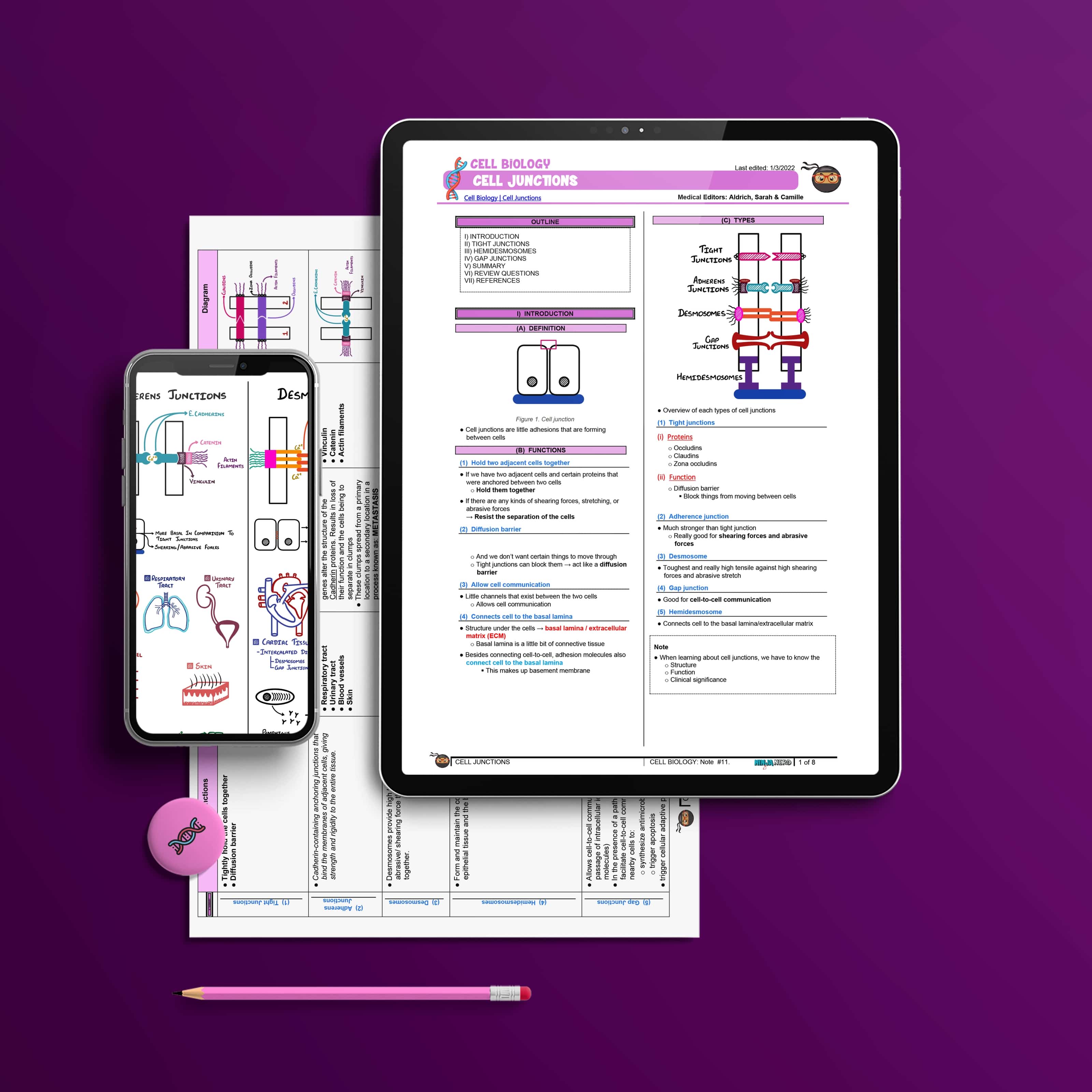 Cell Junctions - Notes - NinjaNerd Medicine